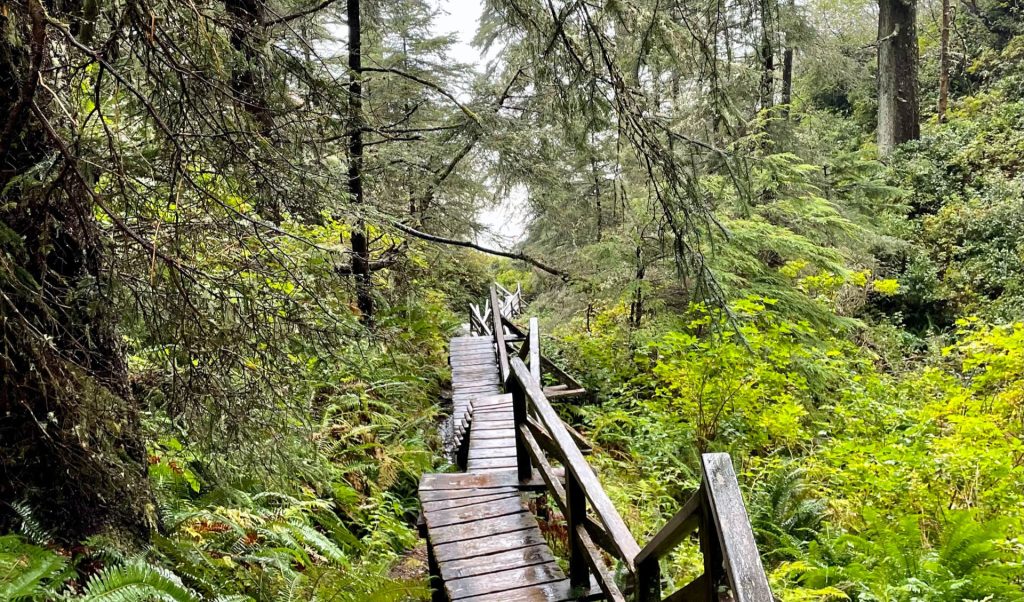 Pacific Rim National Park Travel Guide - Parks & Trips
