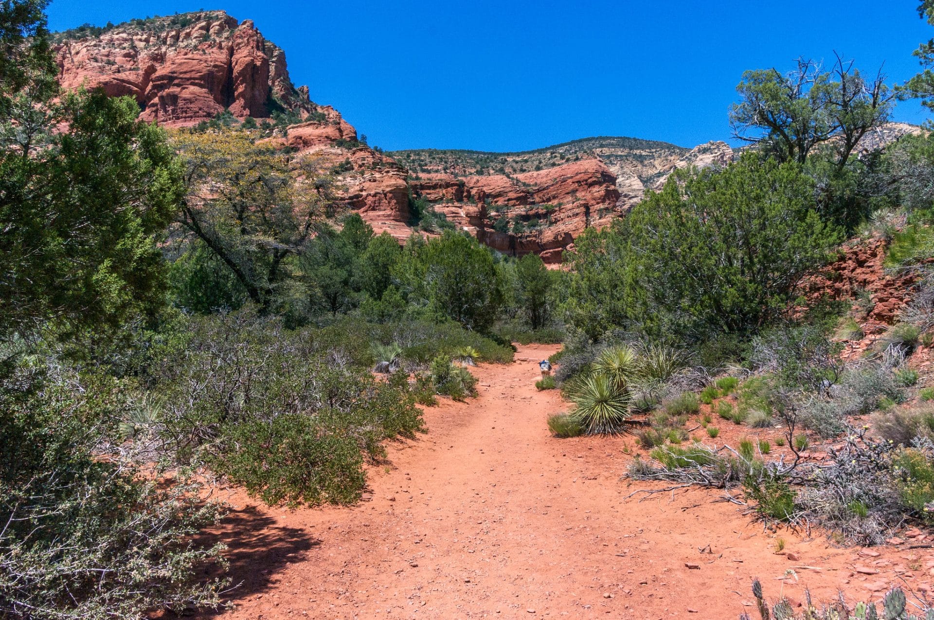 Hiking the Fay Canyon Trail in Sedona, AZ - Parks & Trips