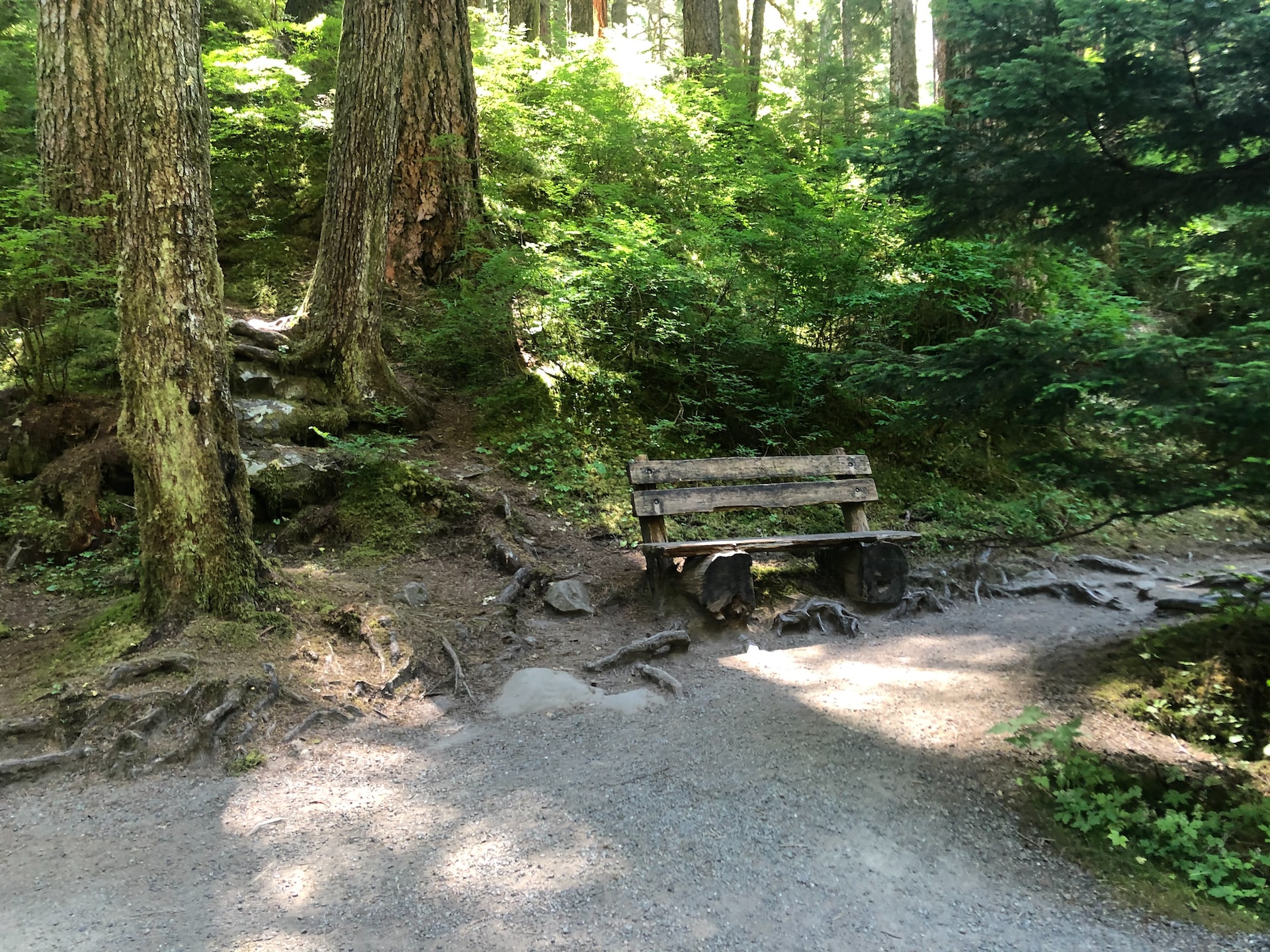 Hiking the Sol Duc Falls Trail in Olympic National Park - Parks & Trips