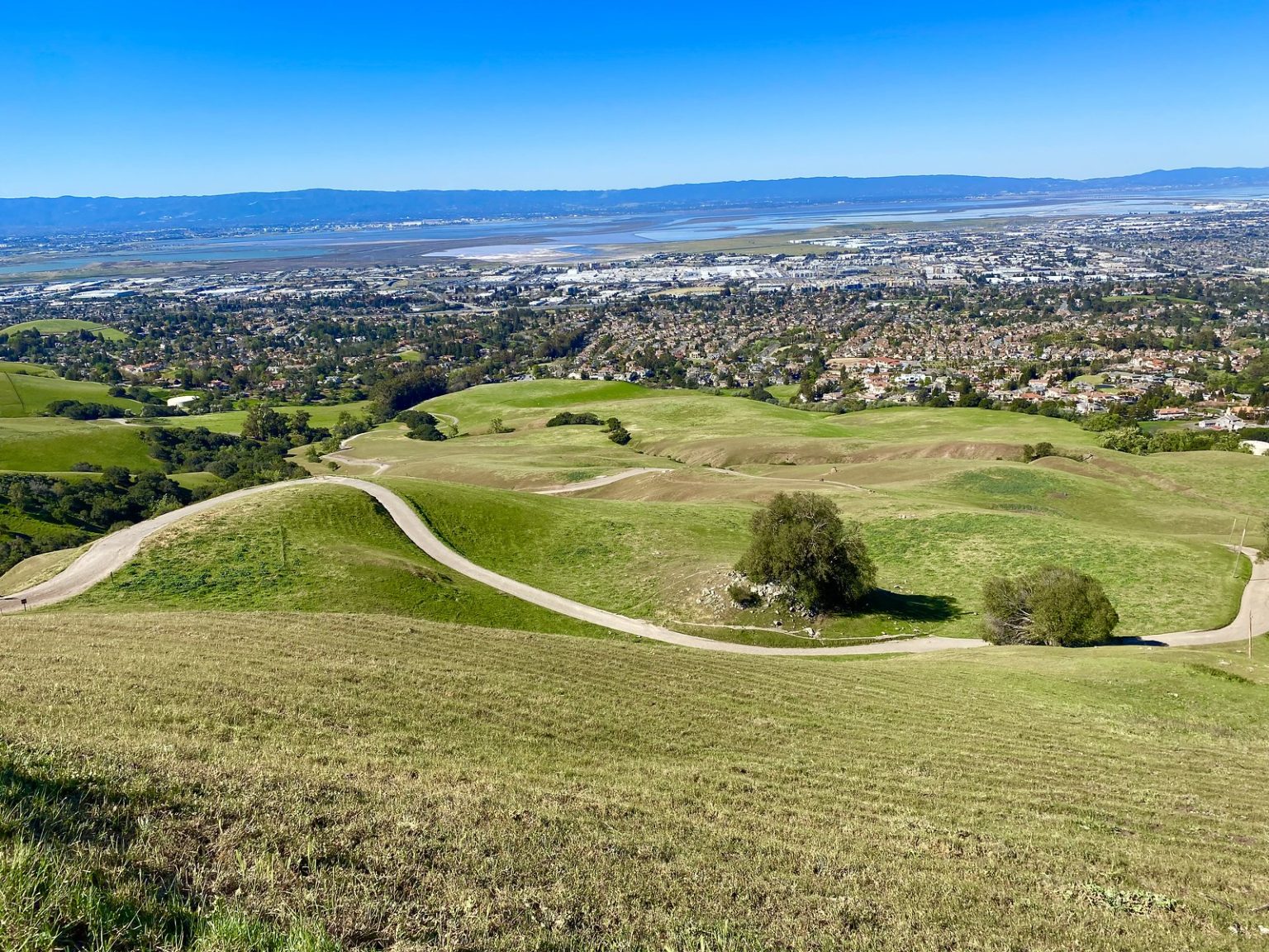 The Mission Peak Loop Hike in Fremont, CA - Parks & Trips